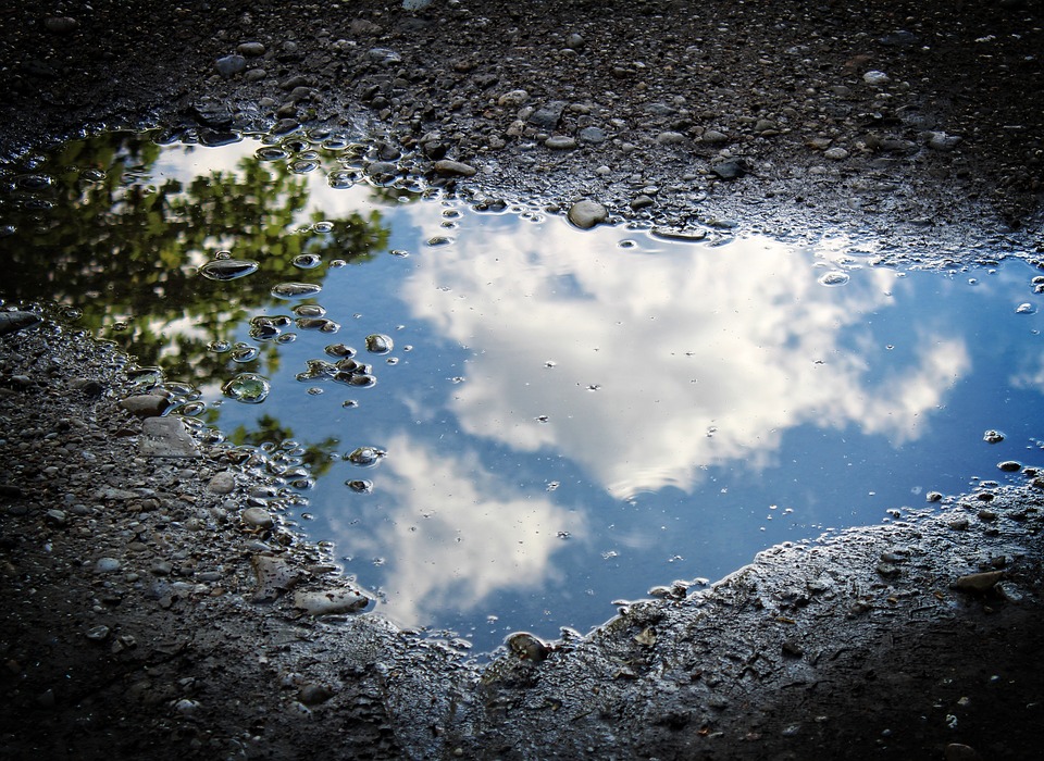Charco e a importância desse local para o meio ambiente