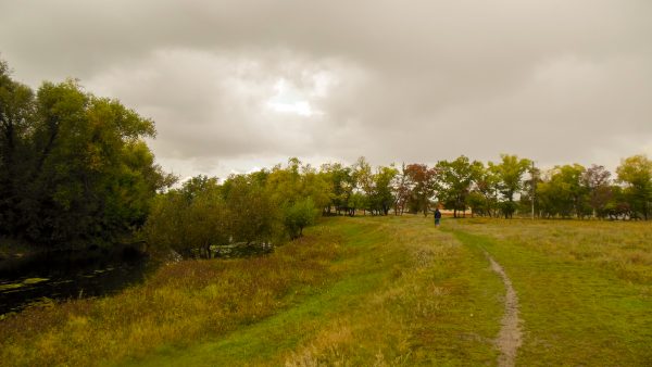 Hectare é uma das unidades de medidas agrárias mais utilizadas
