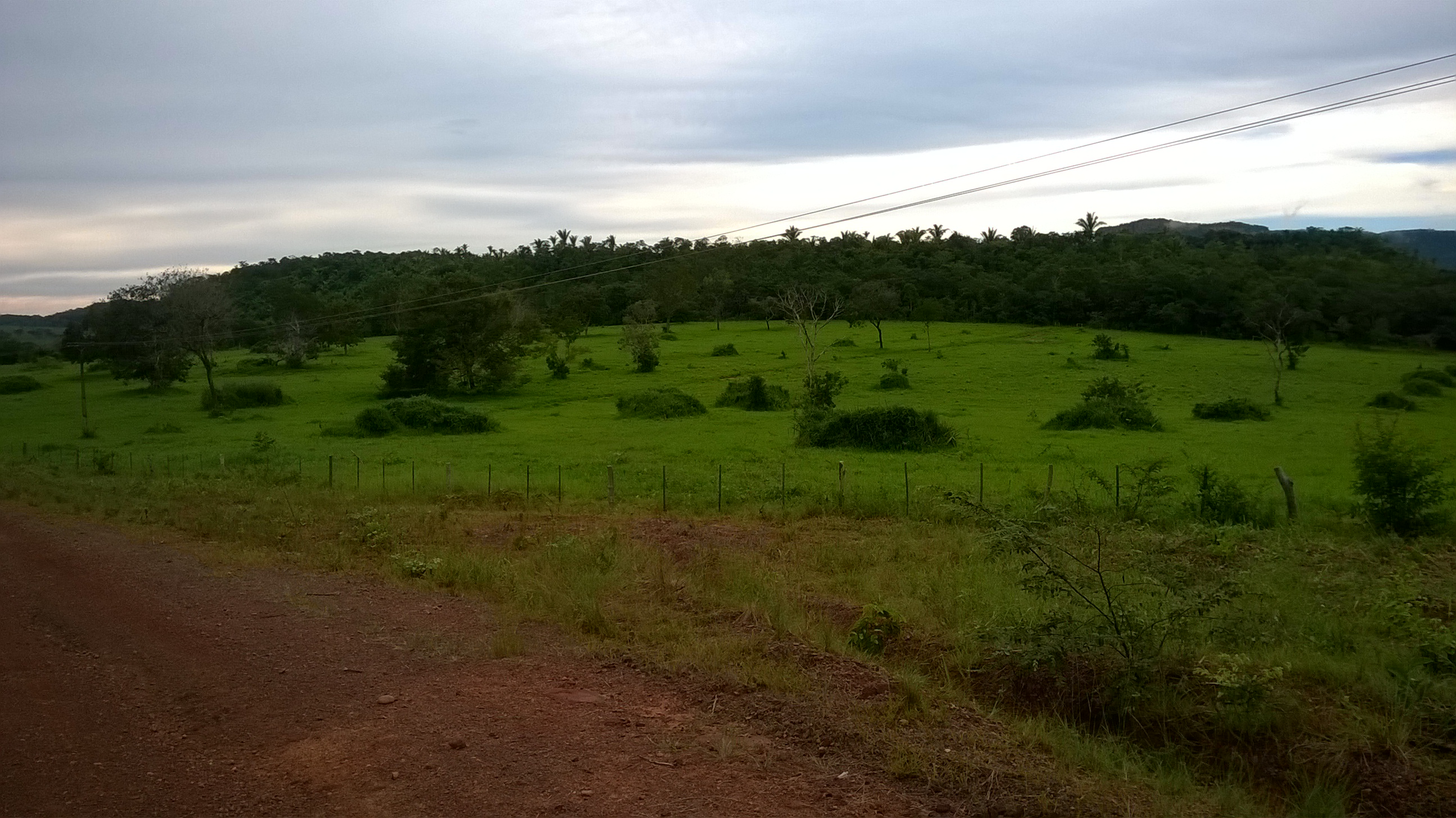 Pradarias são áreas propícias para agricultura e pecuária