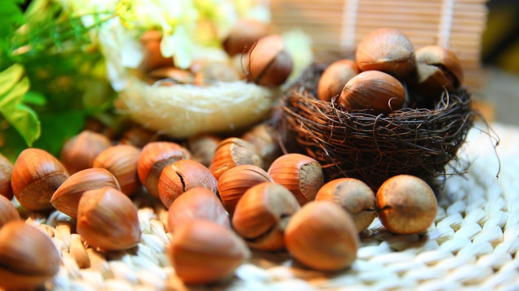 Avelã traz muitos benefícios e ajuda no bom funcionamento do organismo