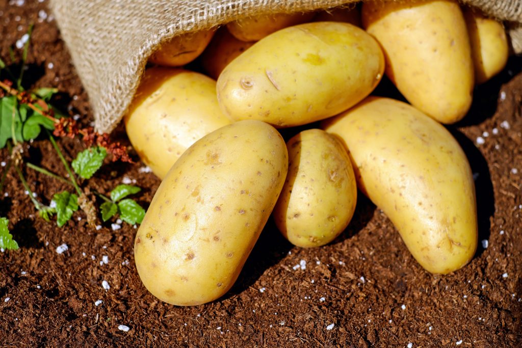 Batata baroa é uma fonte rica de vitaminas e minerais