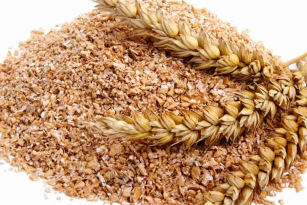 Farelo de trigo é versátil na culinária e benéfico para a saúde