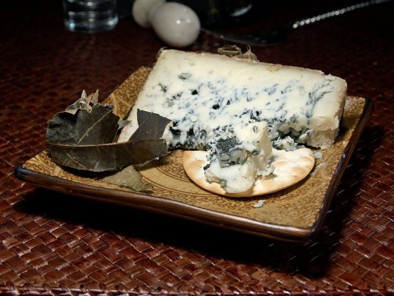 Blue cheese são os queijos que utilizam fungos em sua composição