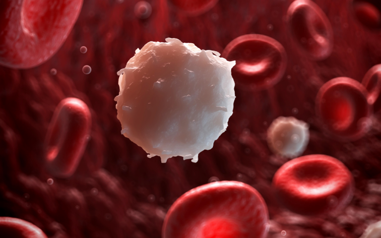 Linfócitos fazem parte do grupo de células de defesa do organismo