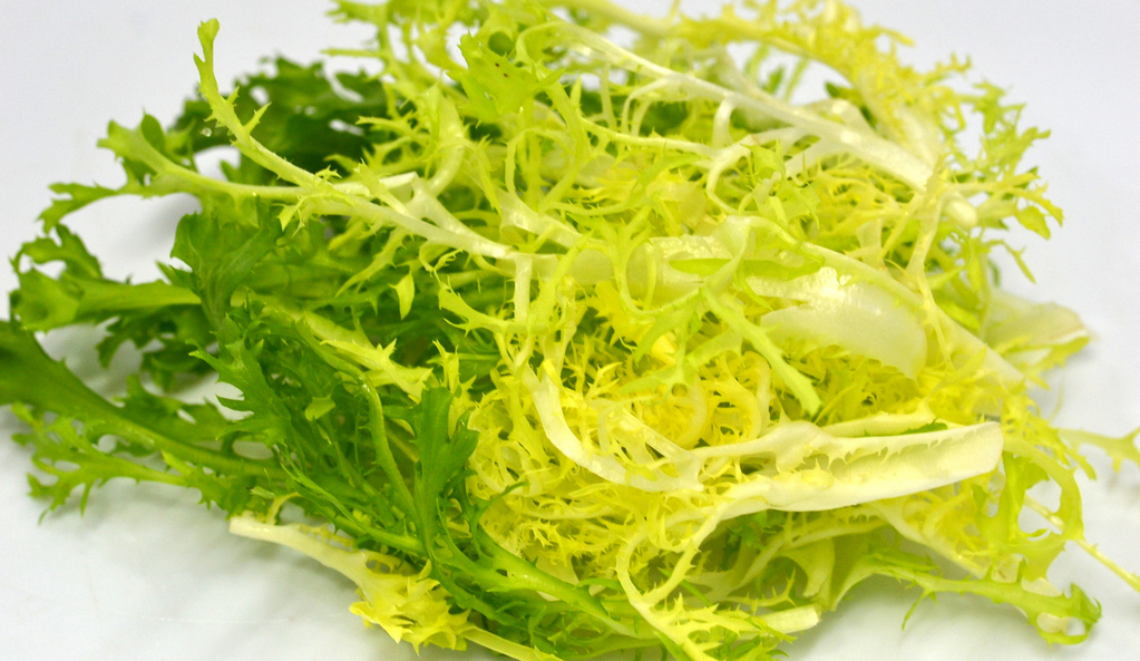 Chicória é rica em nutrientes e apresenta diversas formas de preparo