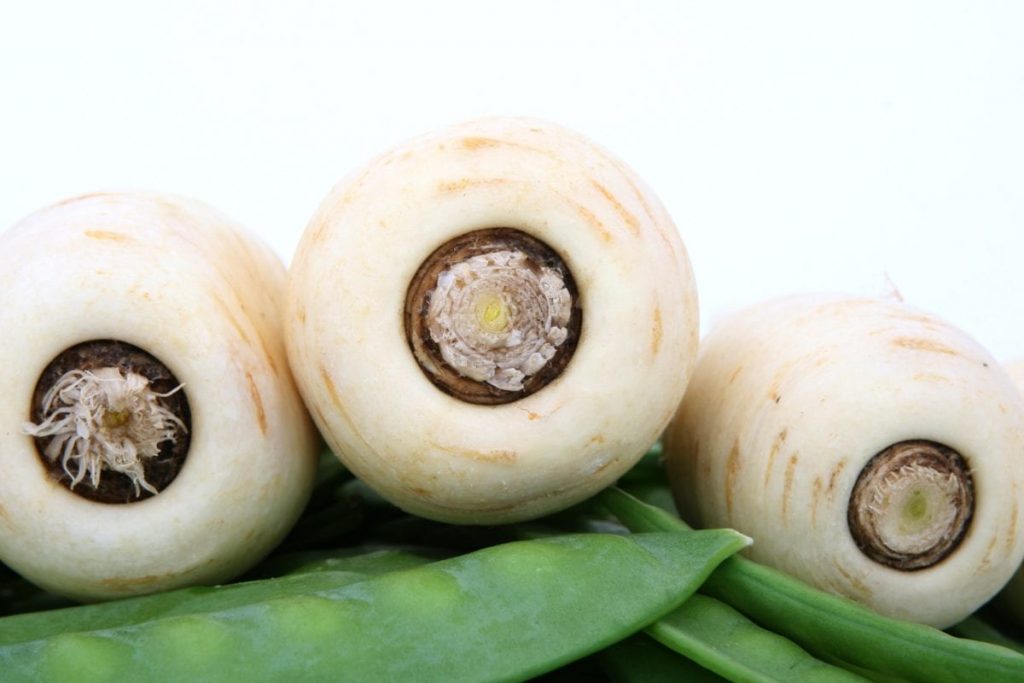 Nabo é um vegetal versátil que serve para alimentação e até adubação