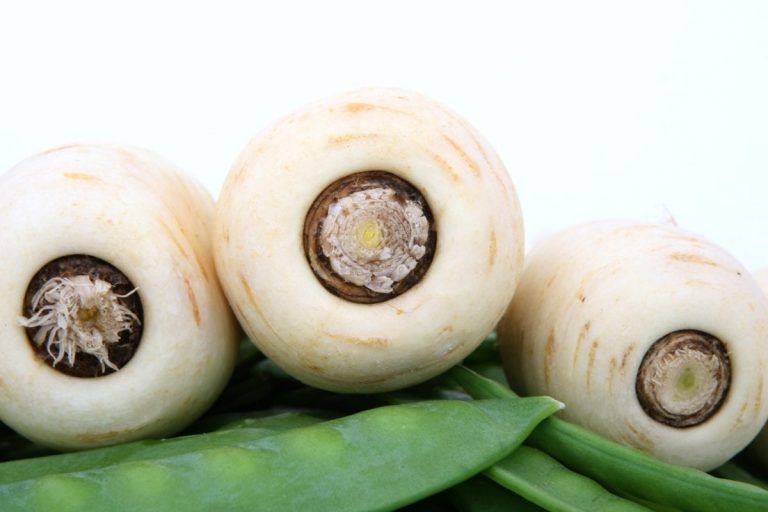 Nabo é um vegetal versátil que serve para alimentação e até adubação