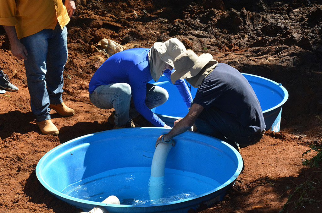 Fossa séptica é uma unidade de tratamento primário de esgoto doméstico