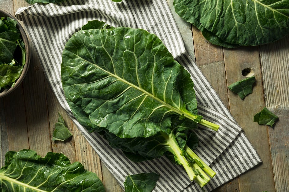 Couve é hortaliça saudável e repleta de nutrientes e benefícios