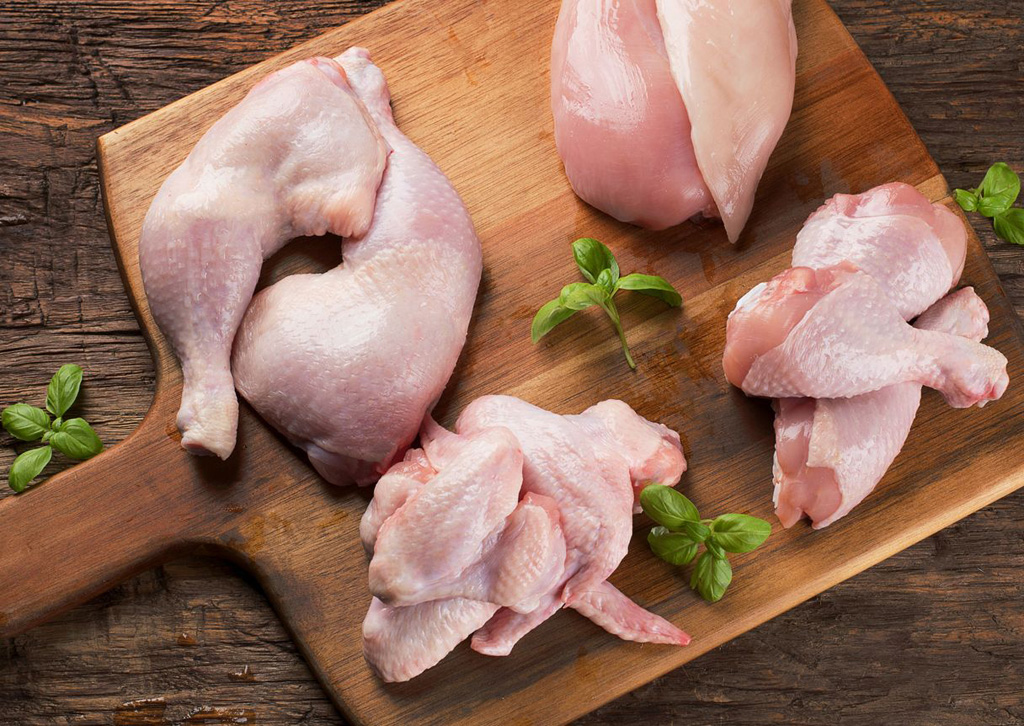 Exportação de frango cresce e torna a criação cada vez mais lucrativa