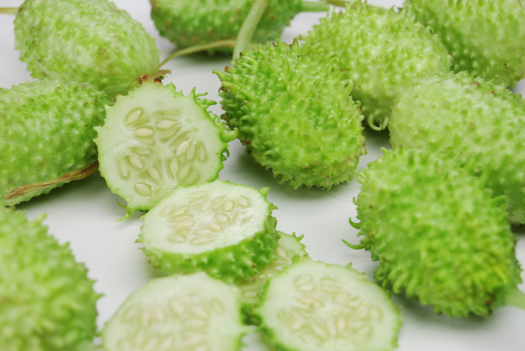 Maxixe tem origem africana e faz bem ao sistema imunológico