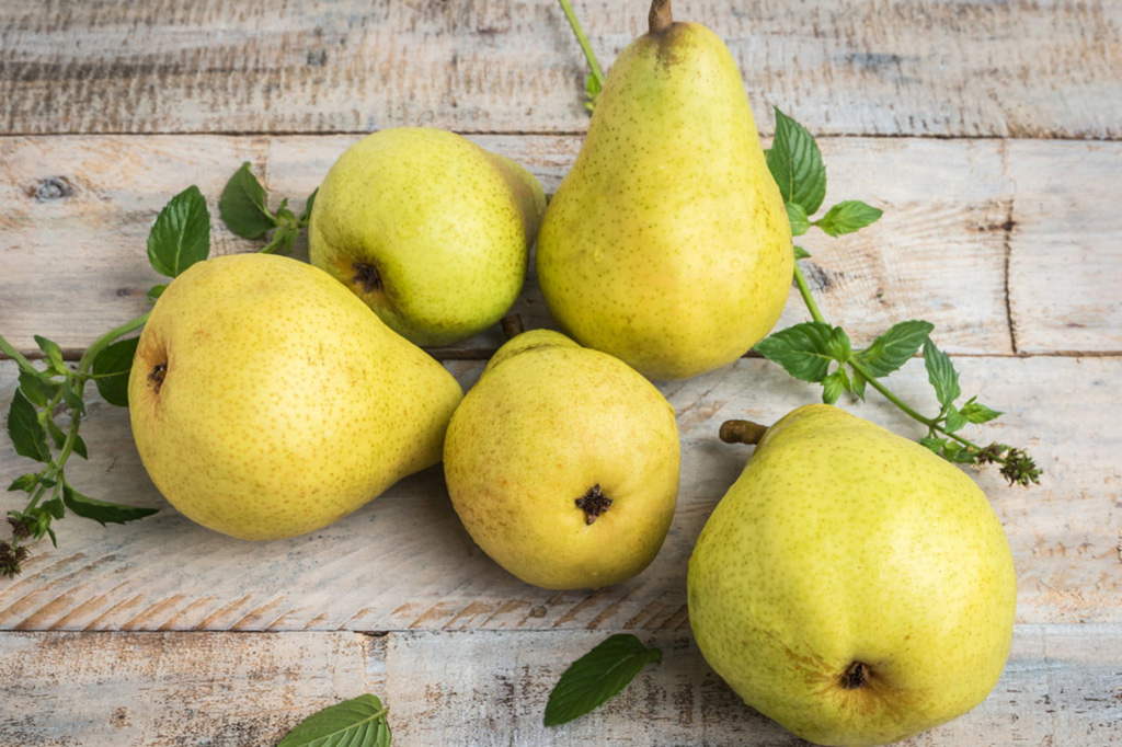 Pera é encontrada em regiões temperadas e tem sabor adocicado