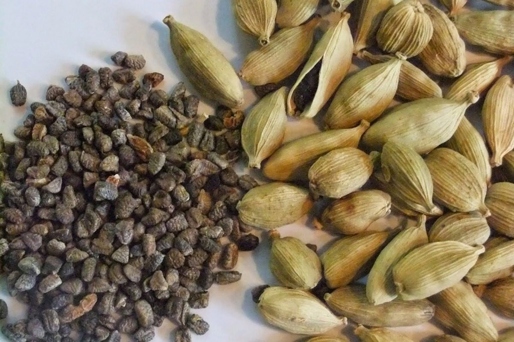 Cardamomo é um tempero de sabor e aroma parecidos com o gengibre