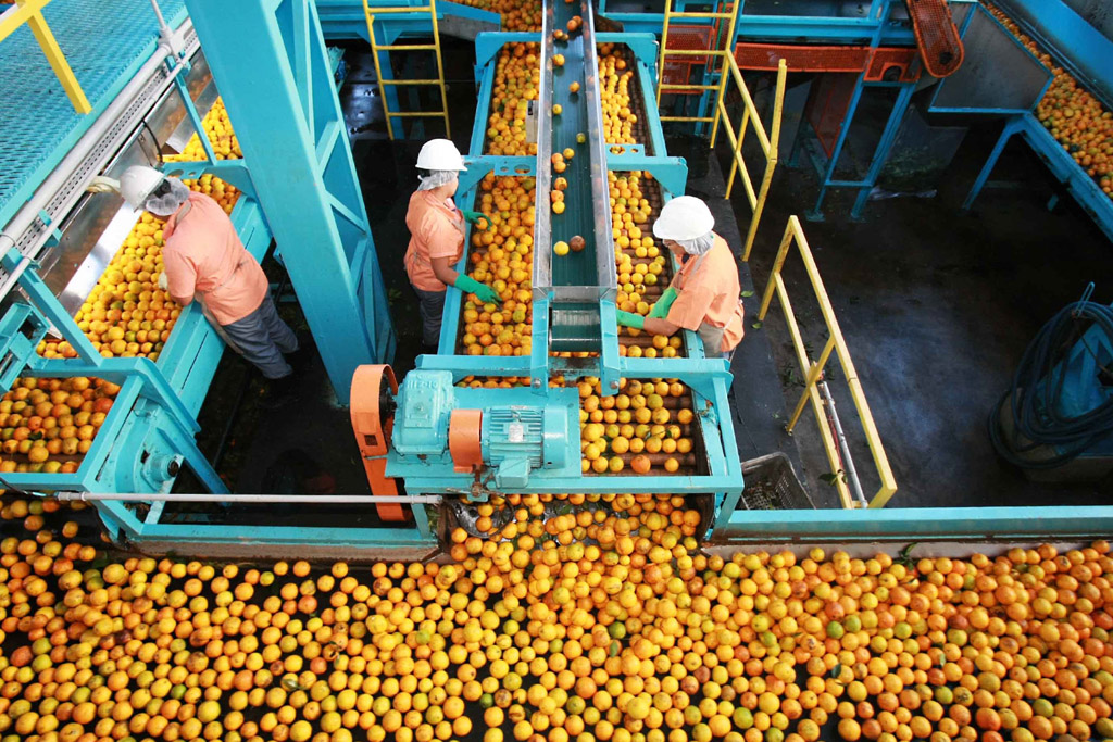 Cutrale é uma das maiores produtoras de suco de laranja do mundo