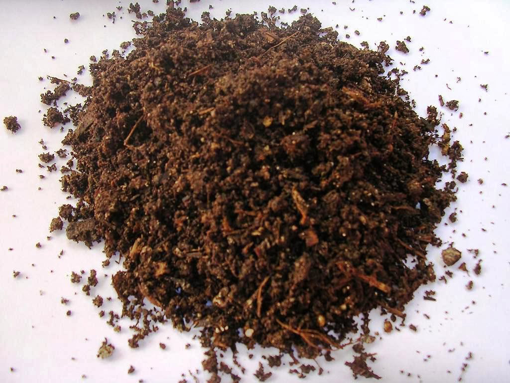 Húmus auxilia a fertilização do solo por meio de compostos naturais