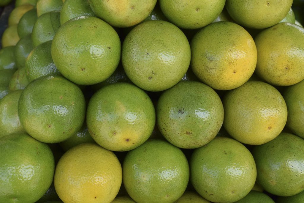 Laranja lima tem grande produção no Brasil, especialmente em Alagoas
