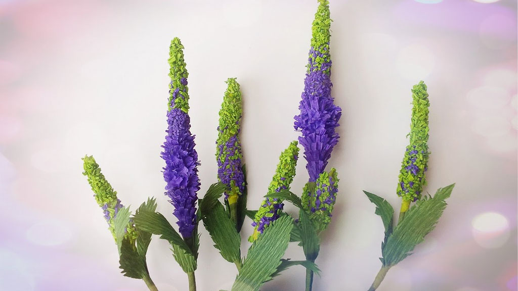 Verônica é planta comum nas regiões temperadas do Hemisfério Norte