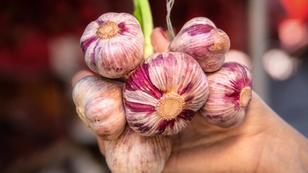 Alicina é substância responsável pelos benefícios e o forte aroma do alho