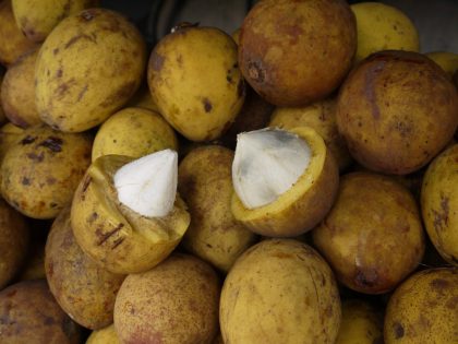 Bacuri é uma fruta comum na região Amazônica e na região Norte do país
