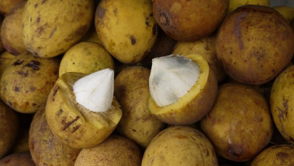 Bacuri é uma fruta comum na região Amazônica e na região Norte do país