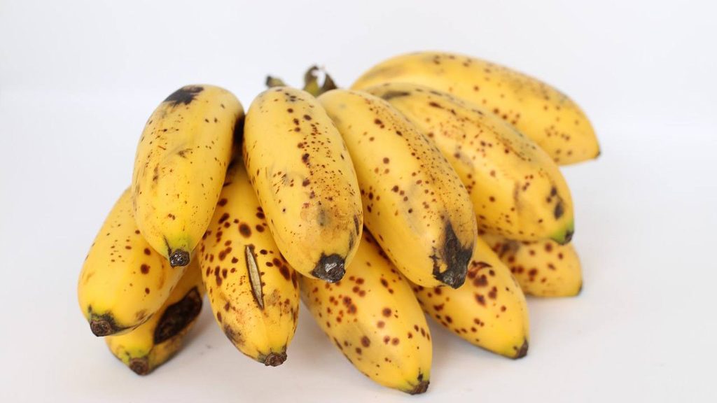 Banana maçã é uma das variedades mais consumidas no Brasil