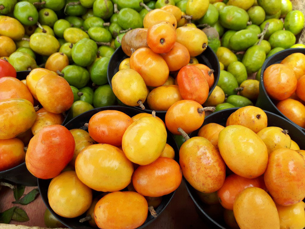 Cajá, frutinha amarelada e exótica, é encontrada em vários cantos do país