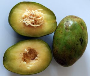 Cajá manga é fruta cultivada no Brasil caracterizada pelo sabor agridoce