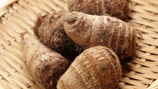 Inhame entrou no Brasil na colonização e hoje é amplamente cultivado