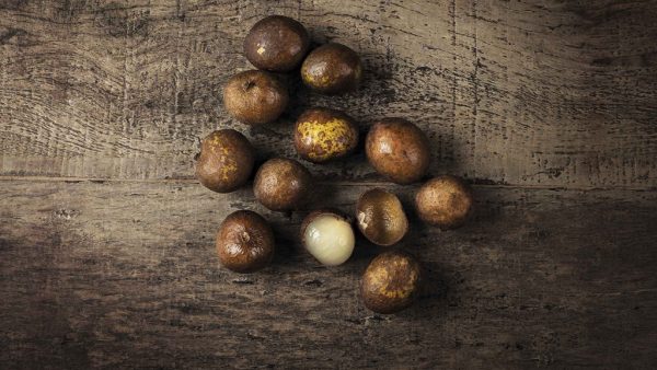 Pitomba é bastante comum na região amazônica e Mata Atlântica