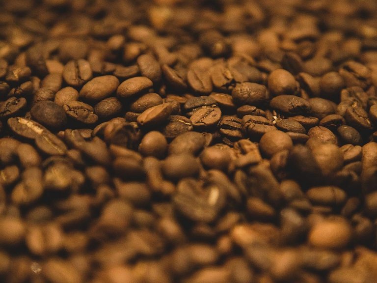 Safras são os períodos entre o preparo do solo e a colheita de uma cultura