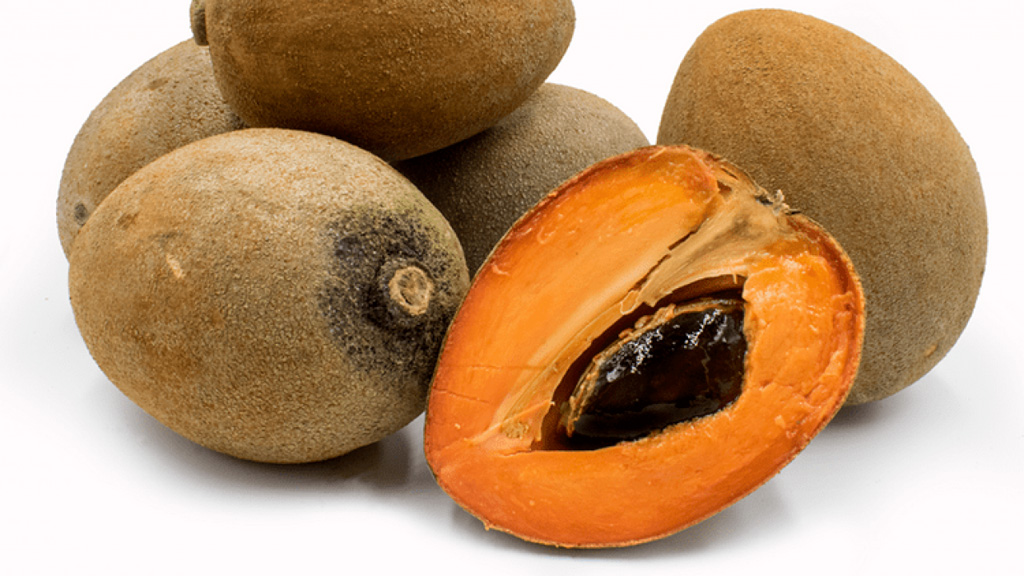 Sapoti é uma fruta que tem origem na América Central