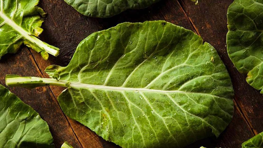 Benefícios da couve incluem a prevenção do envelhecimento das células