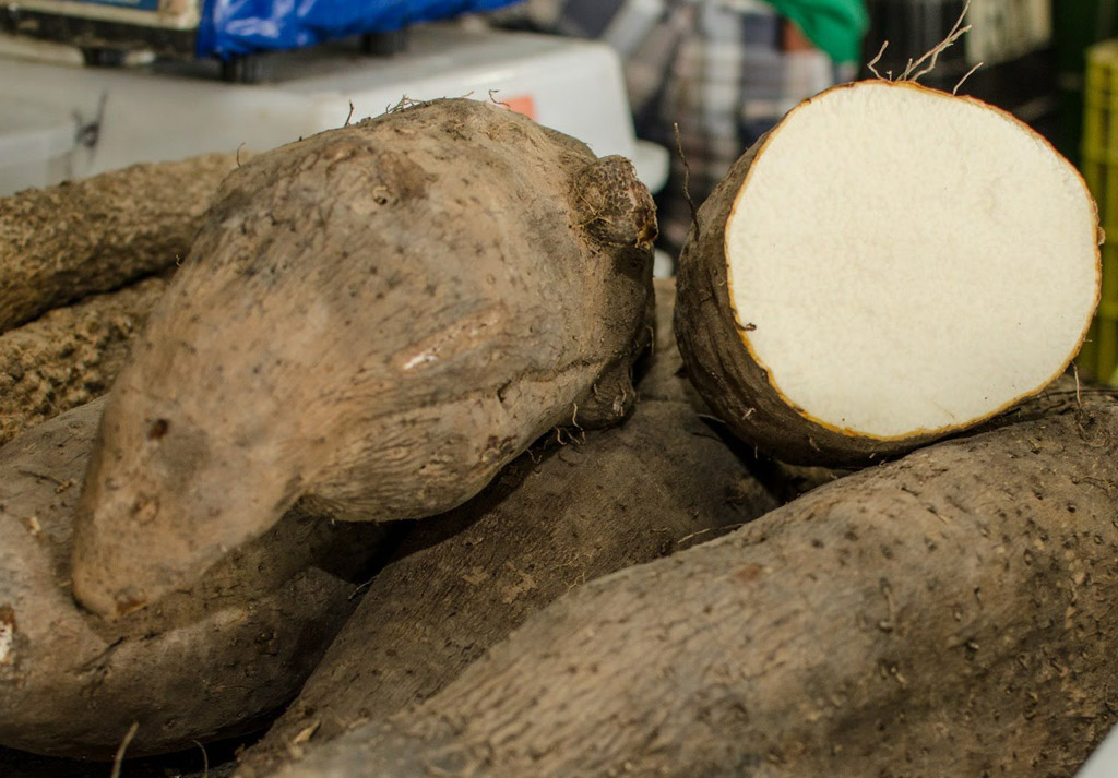 Benefícios do inhame para a saúde são variados e importantes