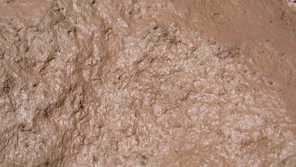 Lama (ou lodo) é uma mistura de terra, água e matérias orgânicas