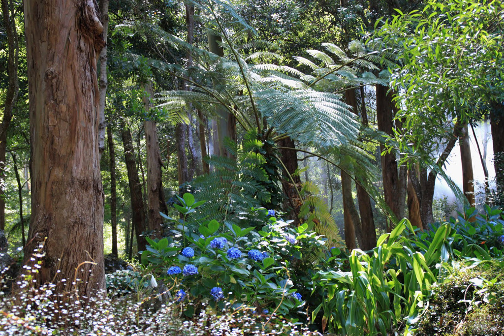 Reserva destaca diversos tipos igualmente importantes para a vida