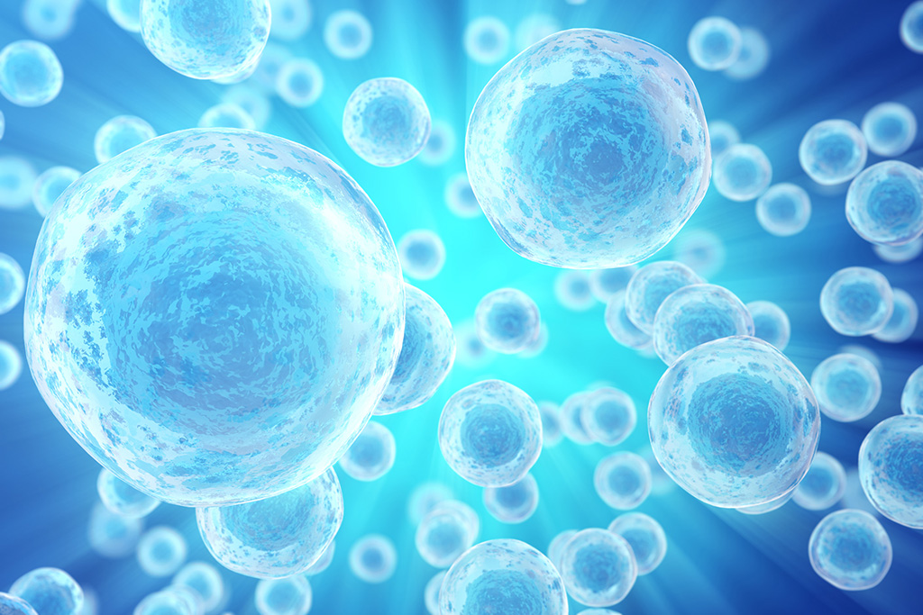 Respiração celular é processo vital para que as células obtenham energia