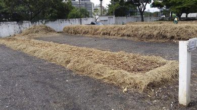 Leira é uma forma de preparar o solo para o plantio