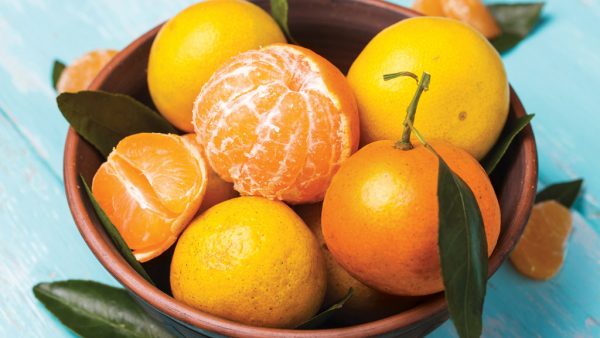 Mexerica é uma das frutas cítricas mais consumidas no Brasil