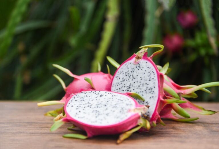 Pitaya rosa apresenta grande quantidade de licopeno