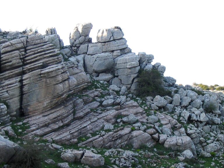 Solo calcário é aquele que contém grande quantidade de cálcio ou cal