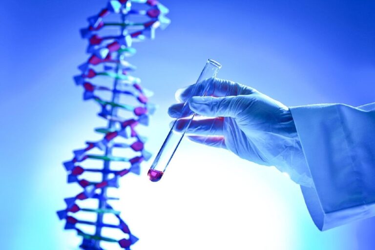 PCR / Polymerase Chain Reaction / Proteína C-Reativa: como funciona?