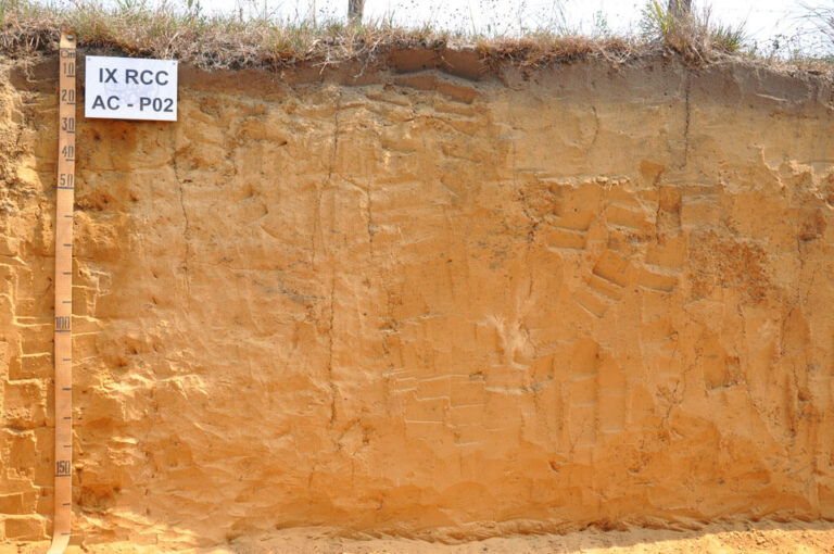 Latossolo é bastante específico e tem estrutura granular