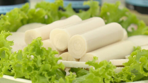 Conhecer os tipos de palmito é importante para acertar na receita