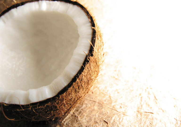 Tipos de coco explorados na cocoicultura são diversos