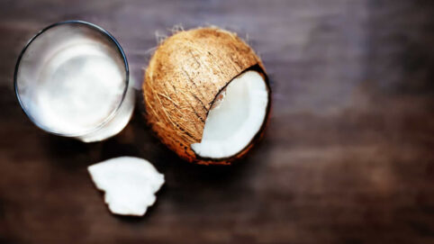 Tipos de coco explorados na cocoicultura são diversos