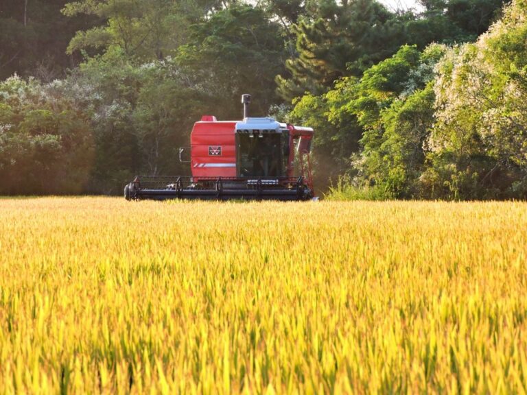 Ecótono é região de transação entre dois ecossistemas