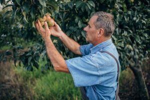 DERAL e o funcionamento deste importante departamento