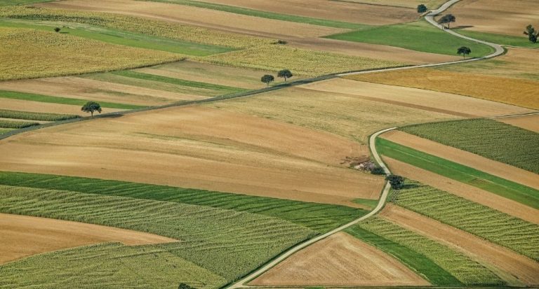 Gleba é uma medida de terra que ainda não possui infraestrutura