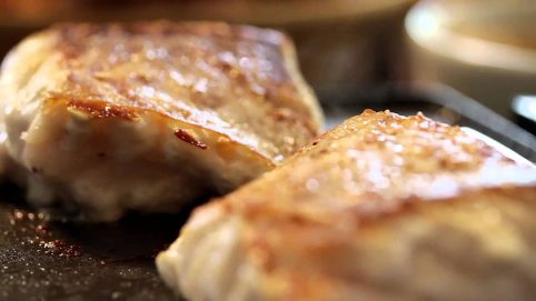 Badejo tem sabor agradável, mas dá trabalho para pescar