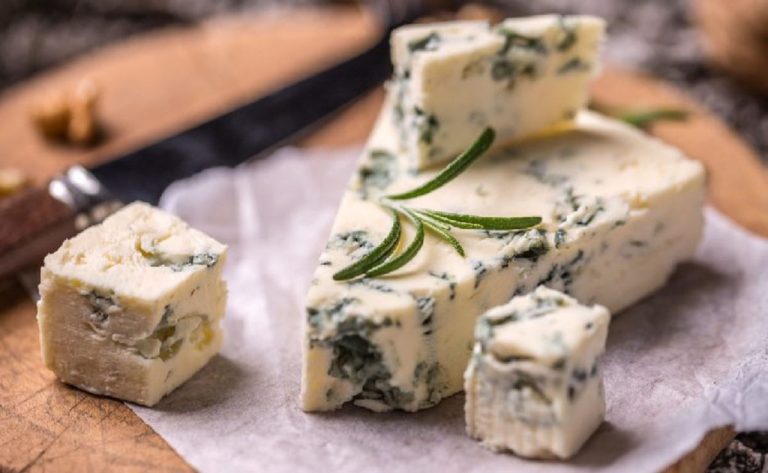 Hifas são estruturas que permitem o desenvolvimento dos fungos